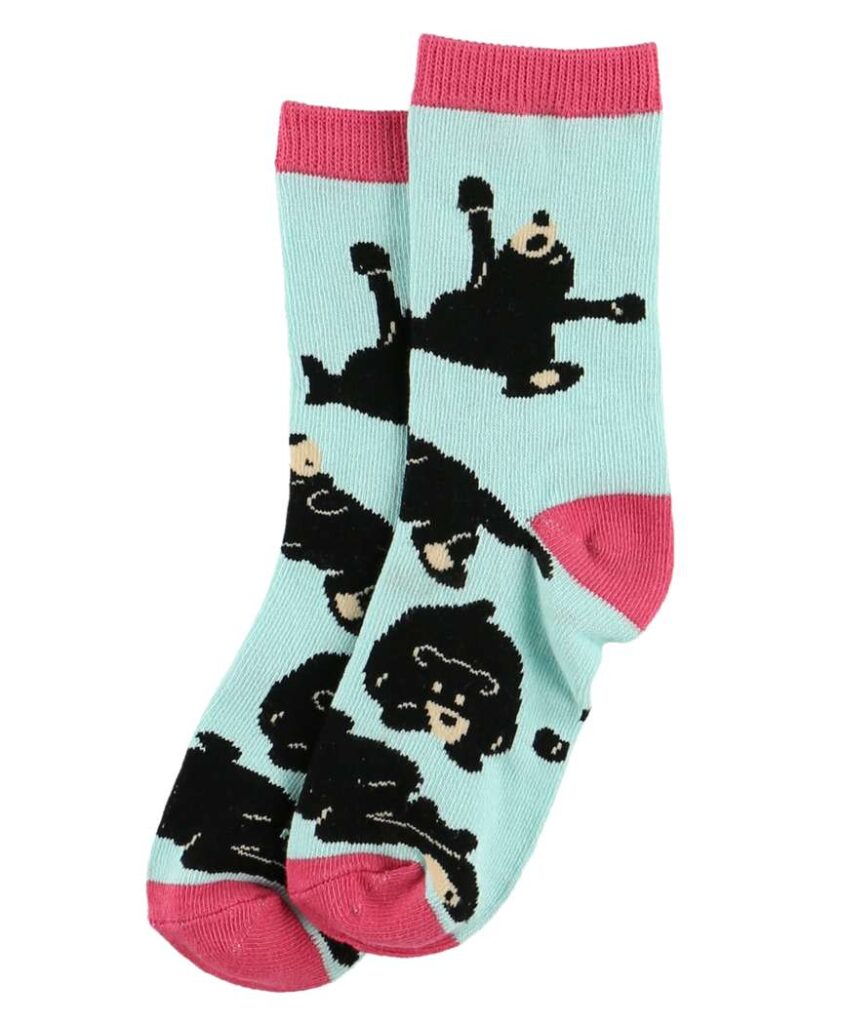 Bearly Awake Kid Sock | American Bear Association