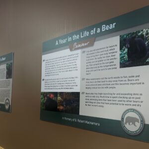 Visitor Center | American Bear Association