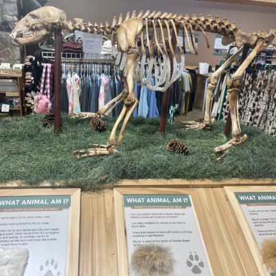 Visitor Center | American Bear Association